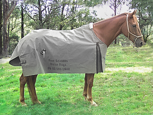 Best Australian Made Horse Rugs | Bryont Blog